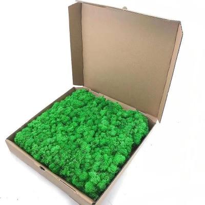 China Real Natural Stabilized Preserved Moss Panels Customized for Home Beautification for sale