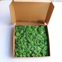 China Real Natural Stabilized Preserved Moss Panels Customized for Home Beautification for sale