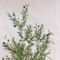 China Modern Green High Simulation Leaves Plastic Potted Olive Tree Plant for Indoor for sale