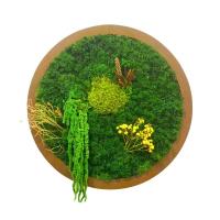 China Wooden Wall Art Preserved Moss Panel Photo Frame for Dining Room 2024 OEM Design for sale