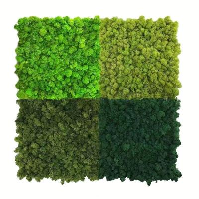 China 100% Real Preserved Moss Wall Panel 5 Years Life Time Customized Box for Decoration for sale