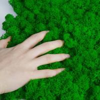 China 100% Real Preserved Moss Wall Panel 5 Years Life Time Customized Box for Decoration for sale