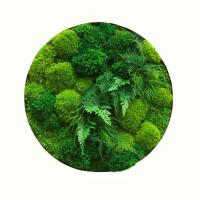 China Preserved Moss Wall Hanging Frame for Father's Day Occasion Customize Size and Durable for sale