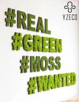 China 5-8 Years Life Time Custom Logo 3D Moss Letters And Symbols Wall Art For Business Decor for sale