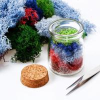 China 500g Green Moss Wall Art Preserved Moss Reindeer Moss For Celebration Wedding Direct for sale