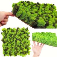 China Environmental Friendly Life Time 5 Years Preserved Moss Wall Panel for Home Decoration for sale