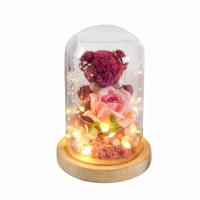 China Valentine's Day Gift Box Glass Cover Moss Bear with Long Life and Everlasting Charm for sale