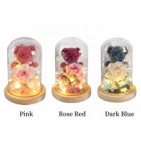 China Valentine's Day Gift Box Glass Cover Moss Bear with Long Life and Everlasting Charm for sale