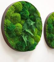 China Natural Plant Wooden Moss Wall Frame for Customized Home Art Decoration in Living Room for sale
