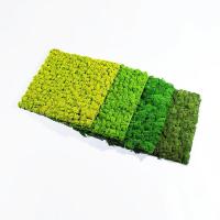 China Stabil Natural Art Green Moss Panels Ideal for Wedding Decor 30*30cm 5 Years Life Time for sale