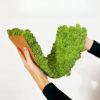 China Stabil Natural Art Green Moss Panels Ideal for Wedding Decor 30*30cm 5 Years Life Time for sale