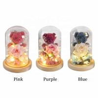 China Valentine's Day Gift Glass Cover Eternal Flower Bear Preservatives Flower For Mothers for sale