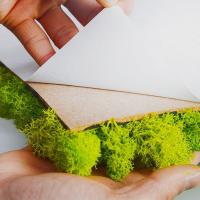 China Stabil Natural Art Green Moss Panels Ideal for Wedding Decor 30*30cm 5 Years Life Time for sale