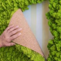 China Artistic Design Green Wall Panels Made of 100% Real Preserved Moss for Interiors for sale