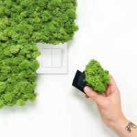 China Artistic Design Green Wall Panels Made of 100% Real Preserved Moss for Interiors for sale