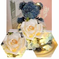 China Creative Decoration Moss Rose Glass Cover Bear Eternal Flower for Wedding Festival for sale