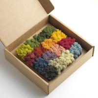 China Real Colorful Stabilized Home Reindeer Preserved Moss for Art Decor Life Time 5 Years for sale