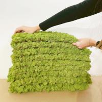 China Real Colorful Stabilized Home Reindeer Preserved Moss for Art Decor Life Time 5 Years for sale