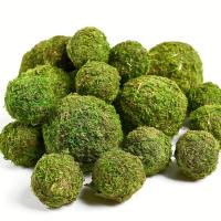 China Customized Logo Accepted Artificial Green Moss Ceiling Ball For Indoor Fish Tank Decor for sale