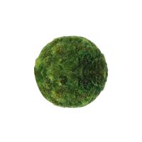 China Logo Customized Logo Accepted Green Immortal Preserved Stabilized Ball Moss Art Frame for sale