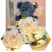 China Customized Designs Acceptable Glass Cover Eternal Flower Gift Box for Valentine's Day for sale