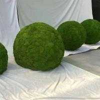China Logo Customized Logo Accepted Green Immortal Preserved Stabilized Ball Moss Art Frame for sale