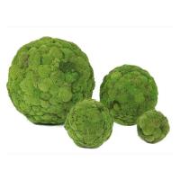 China Logo Customized Logo Accepted Green Immortal Preserved Stabilized Ball Moss Art Frame for sale