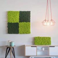 China Design Preserved Moss Panel for Wall Decoration 100% Real and Customized All Season for sale