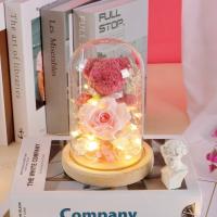 China Friends' Perfect Valentine's Day Gift Pink Preserved Moss Bear with Bright Colors for sale