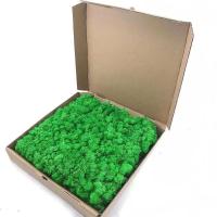 China Customized Logo Accepted Permanent Stabilized Reindeer Moss Wall Panel For Decor for sale