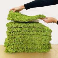 China Customized Logo Accepted Permanent Stabilized Reindeer Moss Wall Panel For Decor for sale
