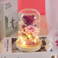 China 2024 Rose Red Everlasting Flower Glass Cover Gift Box Moss Bear Dried Rose for Father's Day for sale