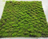 China Green Fakes Moss Art Decor Panel Artificial Grass Moss Carpet for Plant Wall for sale