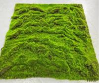 China Green Fakes Moss Art Decor Panel Artificial Grass Moss Carpet for Plant Wall for sale