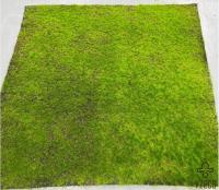 China Green Fakes Moss Art Decor Panel Artificial Grass Moss Carpet for Plant Wall for sale