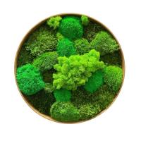 China Earth Day Occasion Multi-Color Moss Wall Decor for Office Natural Plant Painting for sale