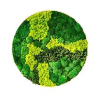 China Earth Day Occasion Multi-Color Moss Wall Decor for Office Natural Plant Painting for sale