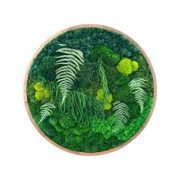 China Earth Day Occasion Multi-Color Moss Wall Decor for Office Natural Plant Painting for sale