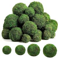 China Life Time 3-5 Years DIY Craft Kit Preserved Moss Ball For Garden Wall Wedding Decor for sale