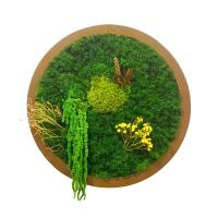 China Father's Day Special Customized Color Artificial Moss Wall Art Frame for Office Decor for sale