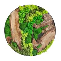 China Father's Day Special Customized Color Artificial Moss Wall Art Frame for Office Decor for sale