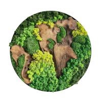 China Father's Day Special Customized Color Artificial Moss Wall Art Frame for Office Decor for sale