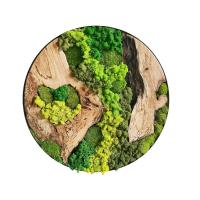 China Father's Day Special Customized Color Artificial Moss Wall Art Frame for Office Decor for sale