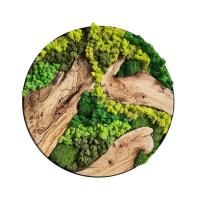 China Father's Day Special Customized Color Artificial Moss Wall Art Frame for Office Decor for sale