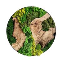 China Father's Day Special Customized Color Artificial Moss Wall Art Frame for Office Decor for sale