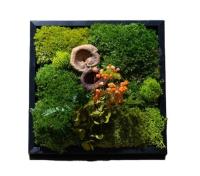 China Customized Color Green Artificial Moss Wall Decoration with Competitive and OEM Service for sale