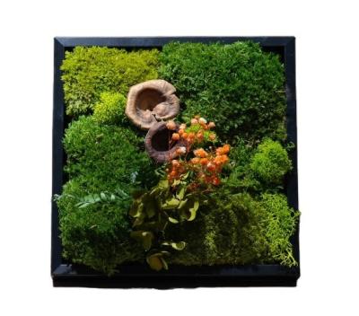 China Customized Color Green Artificial Moss Wall Decoration with Competitive and OEM Service for sale