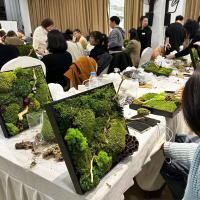 China Customized Color Green Artificial Moss Wall Decoration with Competitive and OEM Service for sale
