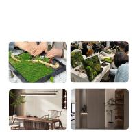 China Customized Color Green Artificial Moss Wall Decoration with Competitive and OEM Service for sale