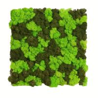 China 100% Real Preserved Moss Wall Sheet Perfect for April Fool's Day Decoration and Indoor for sale